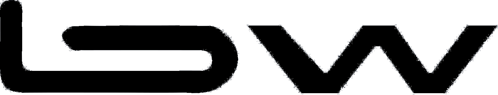 BW Automobiles – The New Automotive Experience